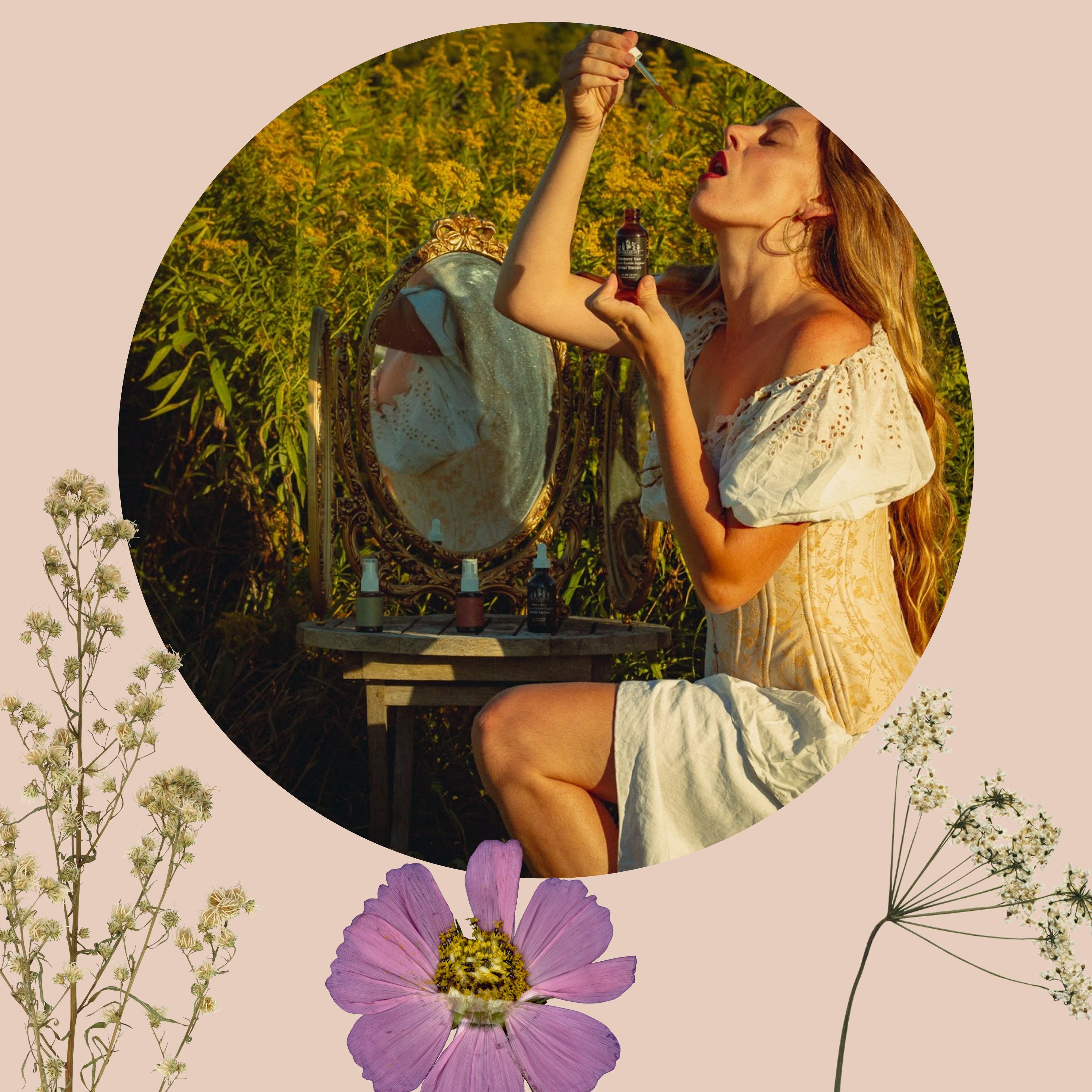 Herbal Extracts – Bloodroot Herb Shop