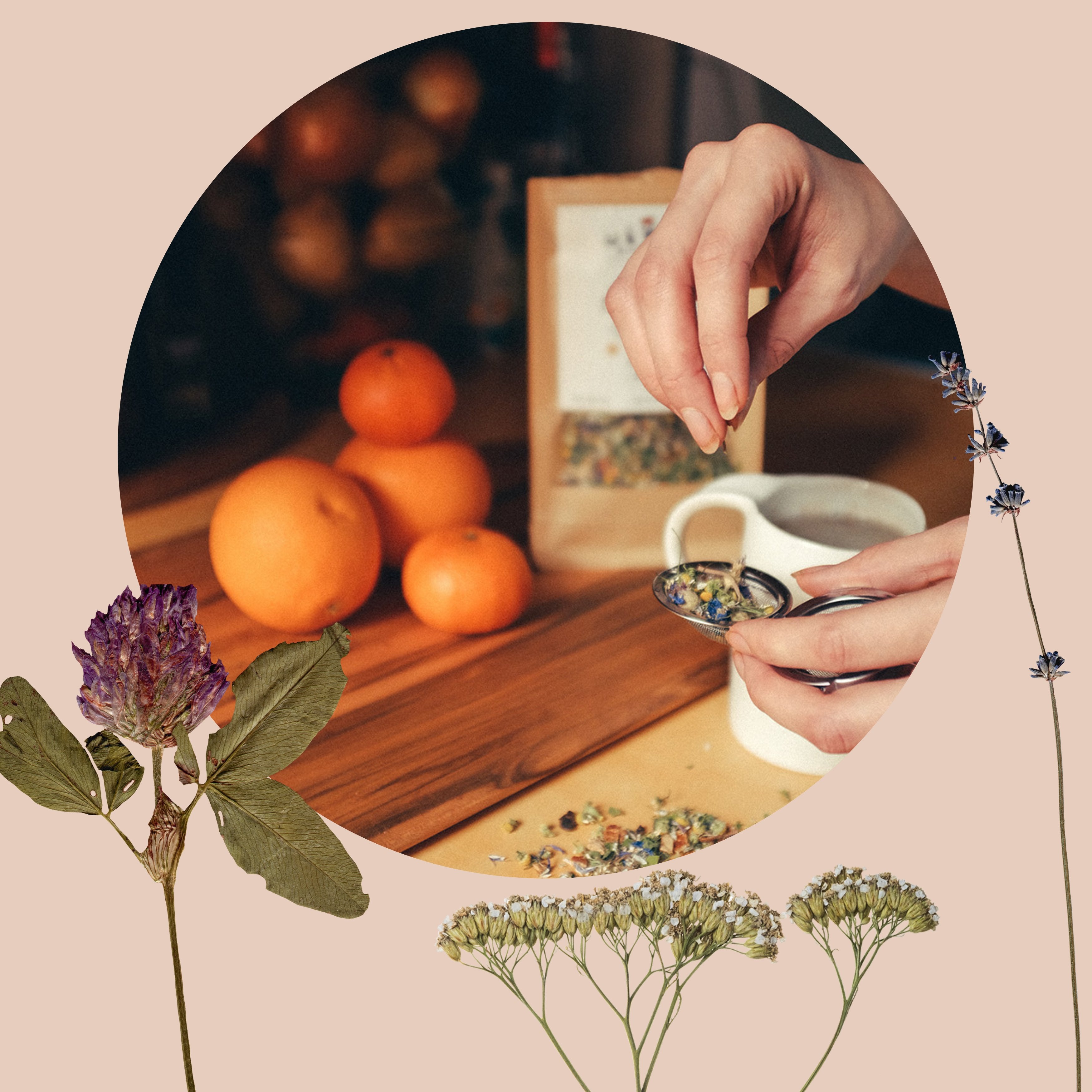 Tea Blends – Bloodroot Herb Shop