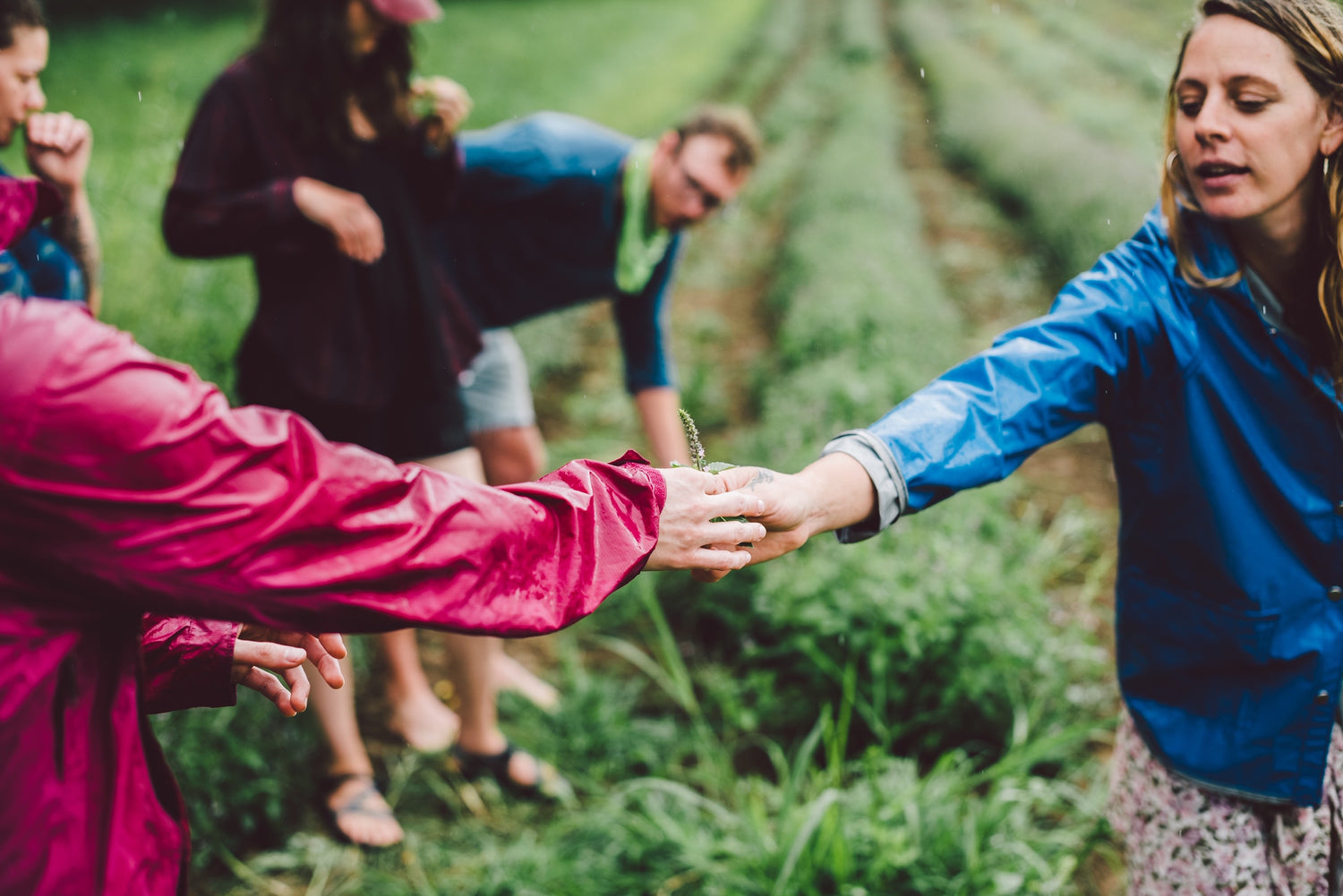 Meet Our Team – Bloodroot Herb Shop